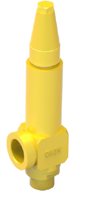 CAEN | SECURITY VALVES
